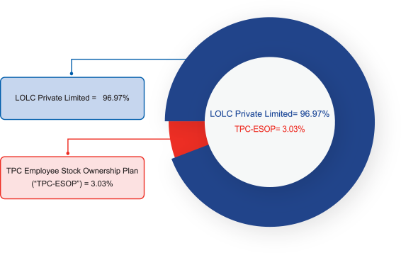 Shareholder Structure