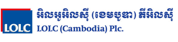 Organization Structure